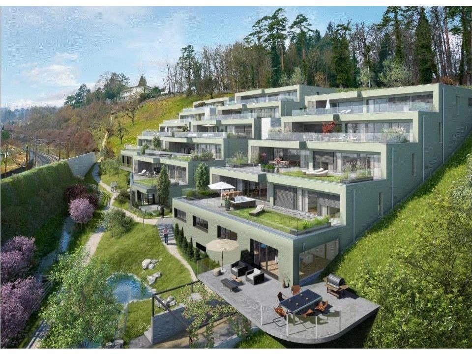 Häuser kaufen in Umiken (5222)