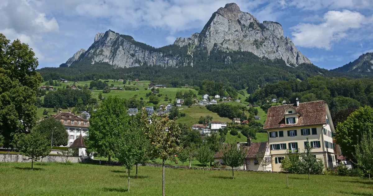 Grundstück kaufen in Goldau (6410)